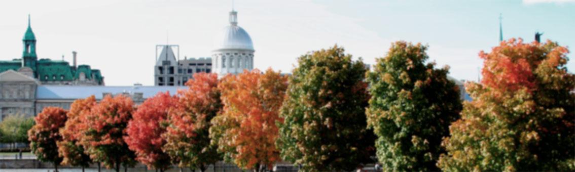 IEEE Signal Processing Society